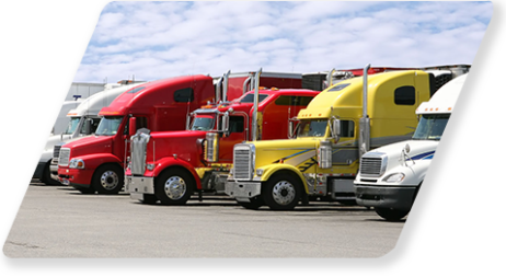 Remarkable MELT training: Hit the road with expert guidance.